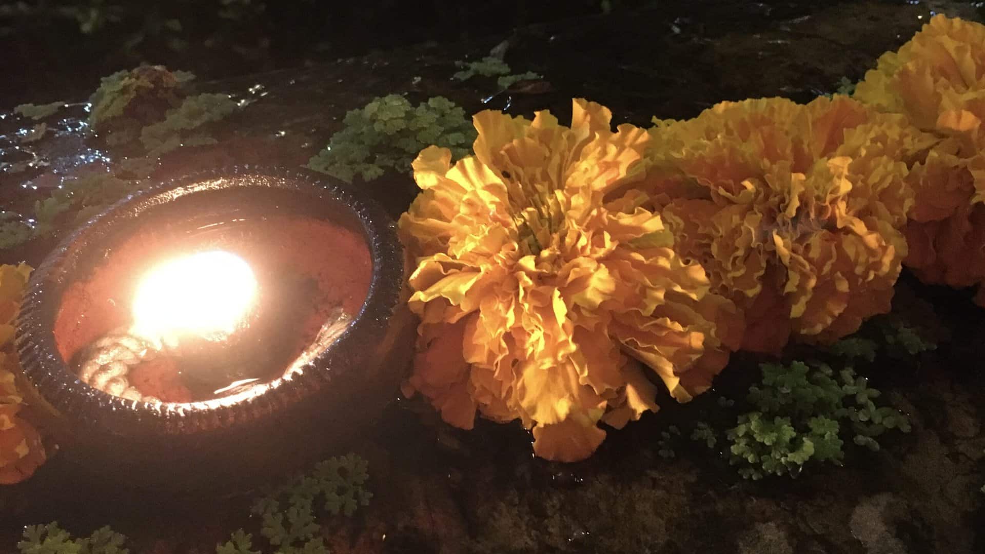 Le Jing en médecine traditionnelle chinoise